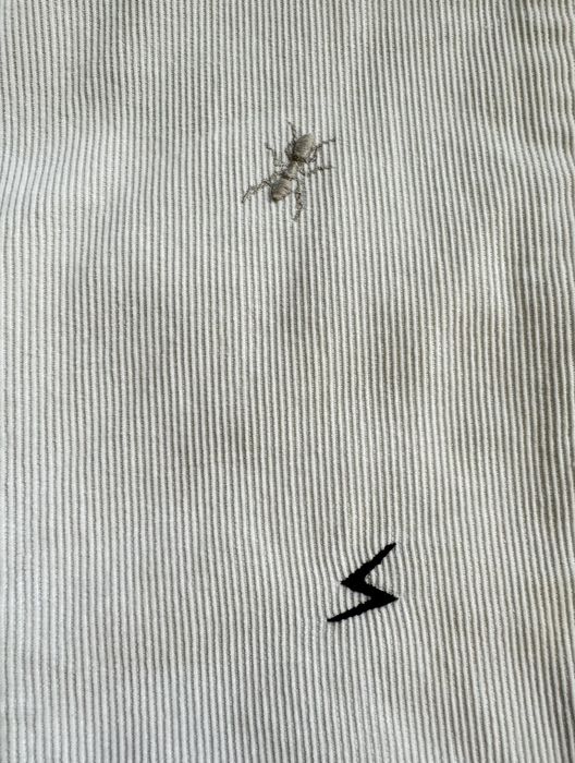 Undercover Undercover AW06 “Guru Guru” Bug Corduroy Pants | Grailed