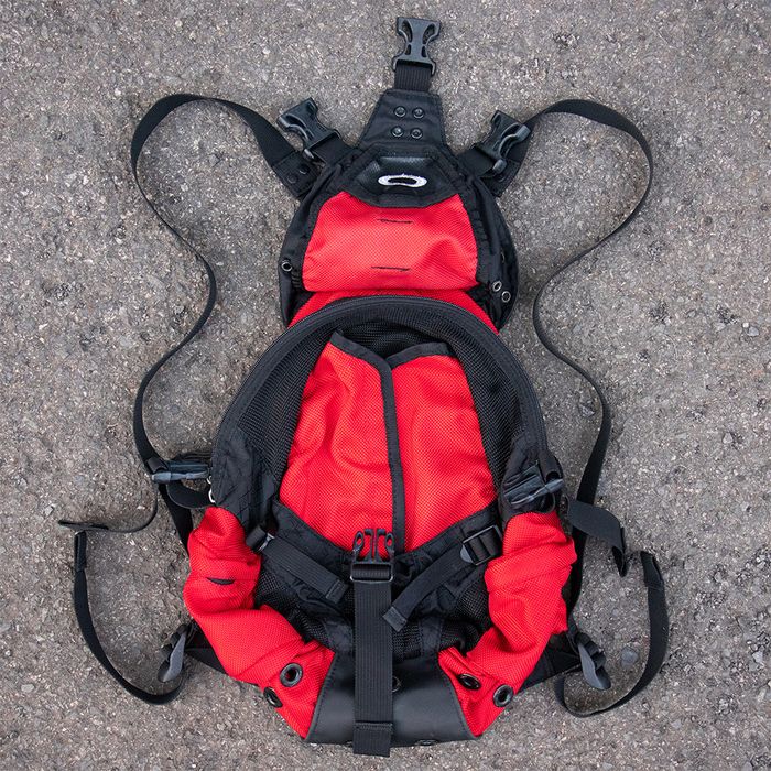 Oakley Vintage Oakley Icon Mini Backpack 1.0 Red Black | Grailed