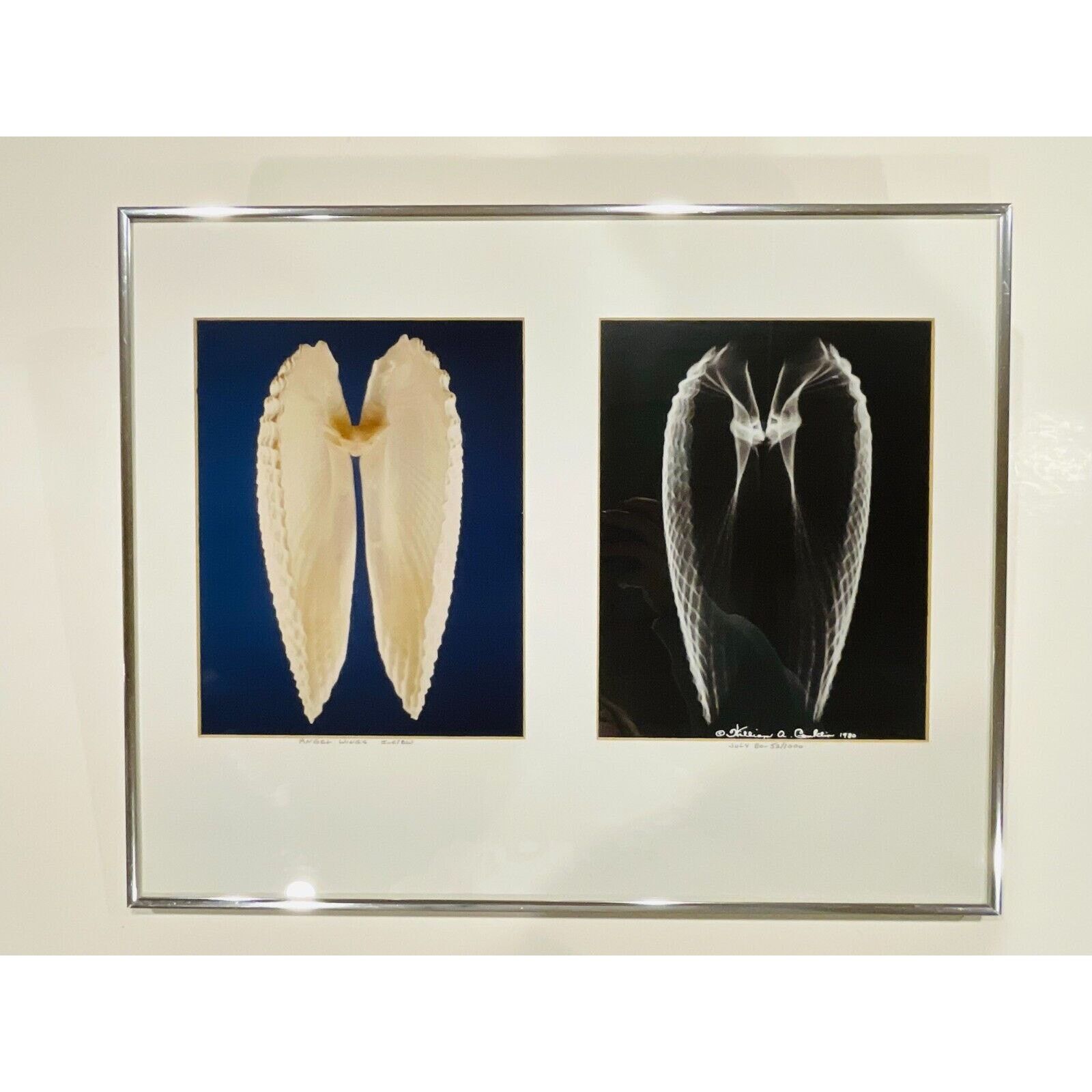 & Other Stories WILLIAM A. CONKLIN Framed X-Ray & Color Photo Angel ...