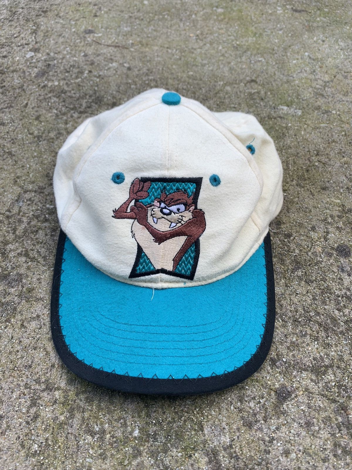 Vintage Vintage 1996 Looney Toons Taz Six Flags Hat | Grailed