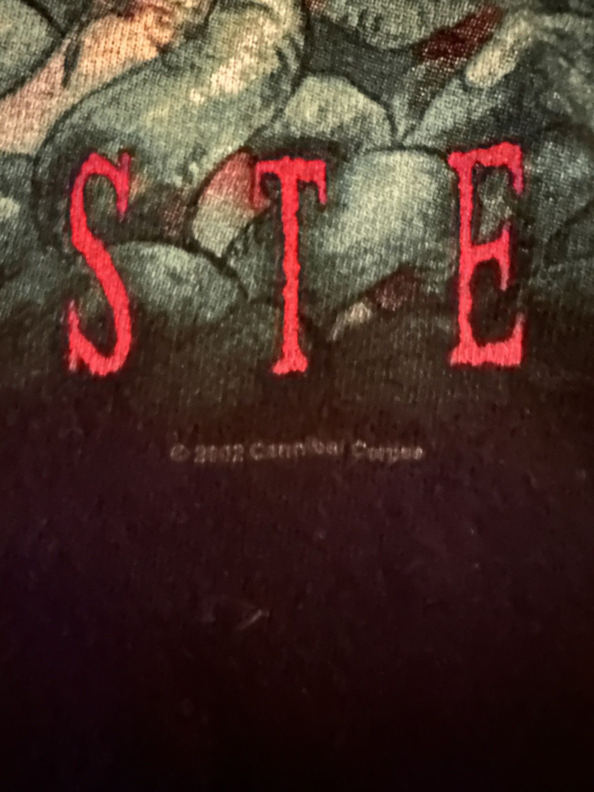 Band Tees Vintage 2002 Cannibal Corpse Worm Infested | Grailed