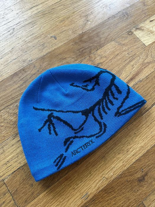 Arc'Teryx Bird Head Toque Beanie Fluidity/Labyrinth | Grailed