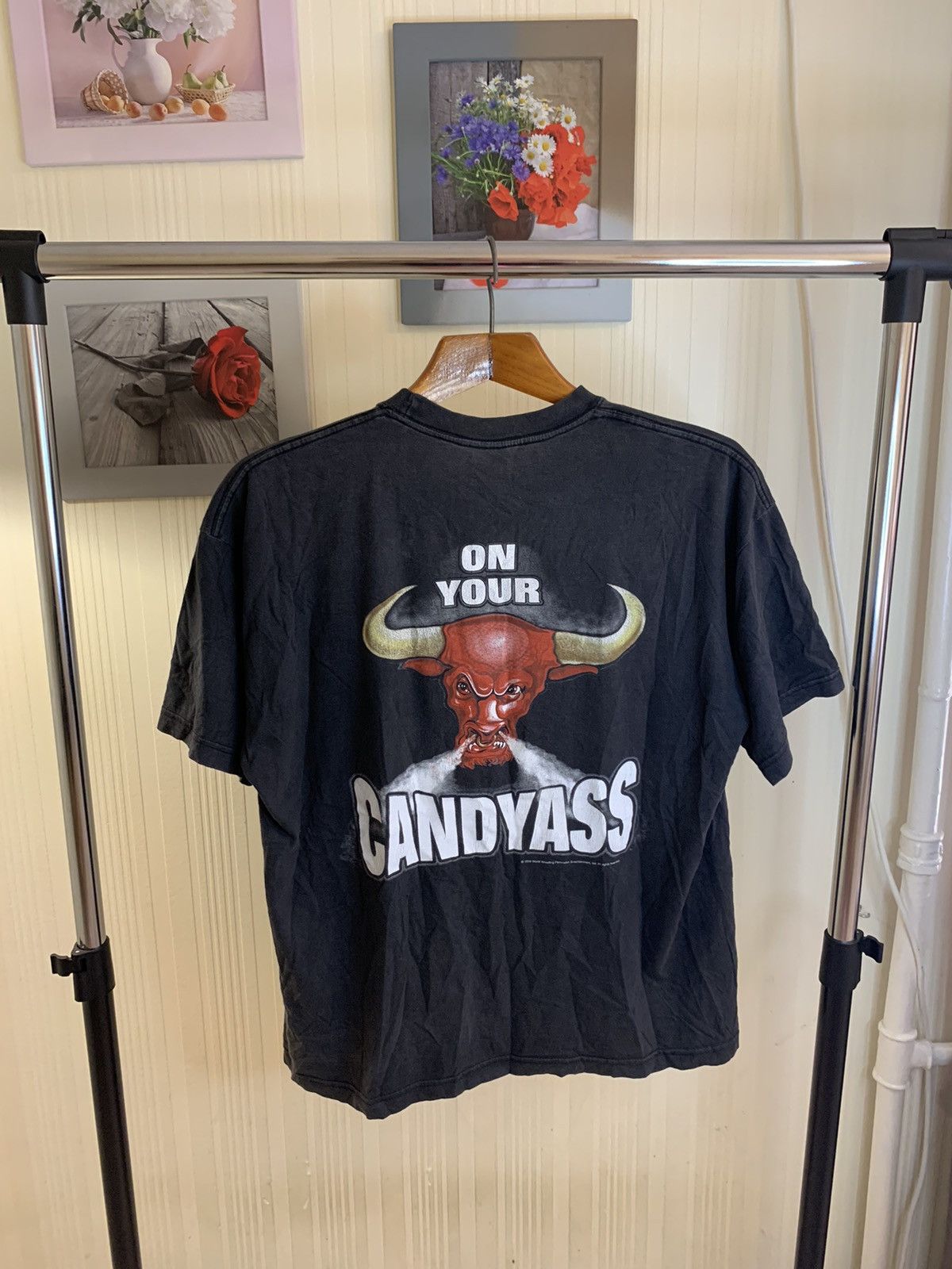 Vintage × WWE × WWF Vintage 1999 Layeth the Down Candyass the Rock T ...