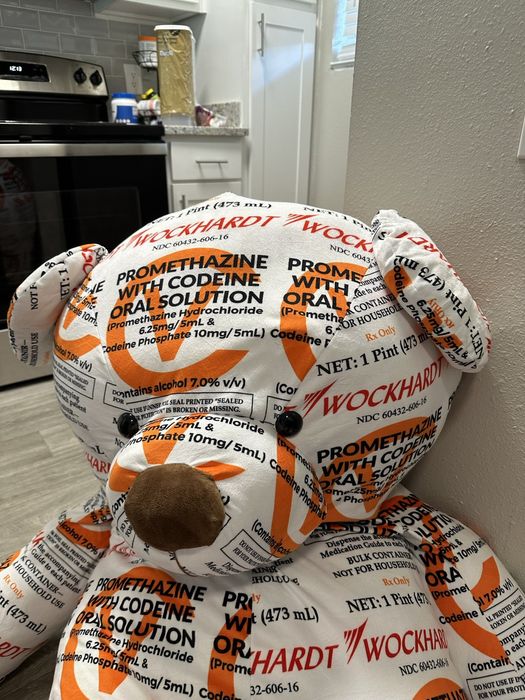 Custom Wockhardt Lean Bear Life Size Plush | Grailed